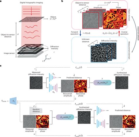 Overview Of The Proposed Model A Simplified Schematic Of Digital