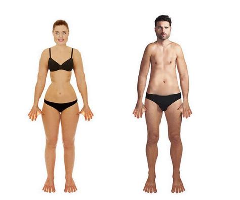 The Evolution Of Humans In The Future