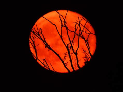 5 Things You Need To Know About A Chrpe