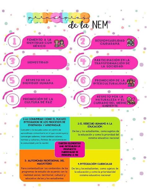 Principios Principios Y Perfil De La Nem Pdf