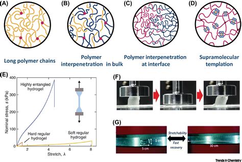 Trapped Entanglements In Polymer Networks Formation And Characterization Trends In Chemistry