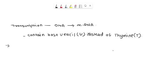 Transcribe The Following Dna Sequence From Hbs Record Your Answer To