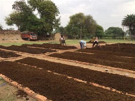 Vermicompost 50 Kg At ₹ 7 Kg In Panipat Id 2849816842033