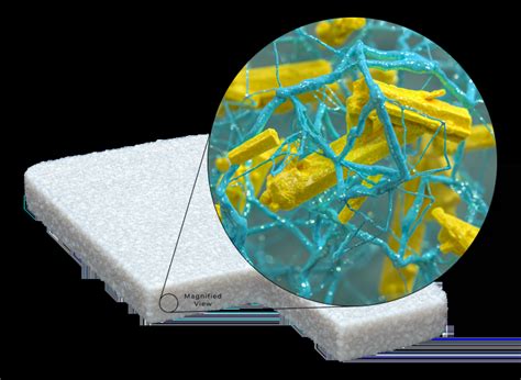 Osteogen® Bone Grafts Dental Bone Grafting Plugs And Strips