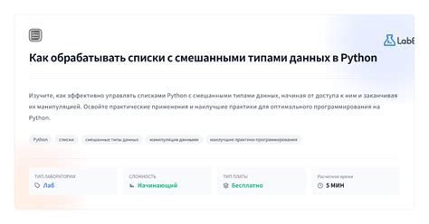 Как обрабатывать списки с смешанными типами данных в Python Labex