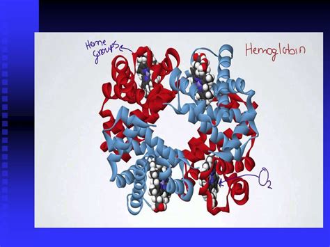 Hemoglobinopathies Hb Structure Online Presentation