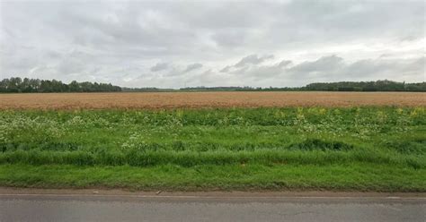 Locals Object To Plans For 200 Homes And Play Area In Cambridgeshire