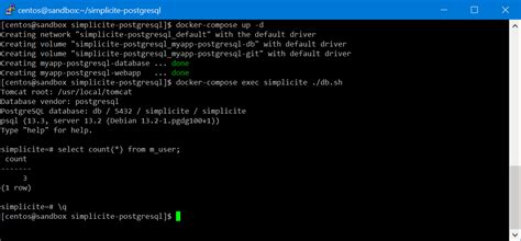 Database Access With Docker Docker Compose Tips And Tricks Simplicité Software Community Forum