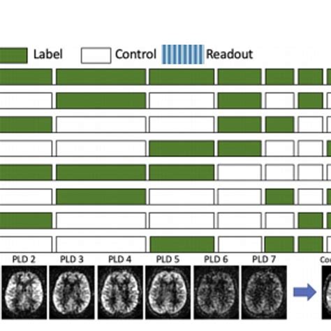 The Debbie Sequence Multi Pld Is Obtained Using Hadamard Encoded