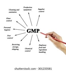 51 Gmp Facility Images Stock Photos Vectors Shutterstock
