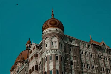 Contact Us Maxus Technologies