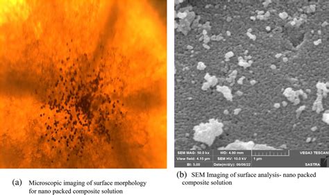 Examination Of Surface Morphology Images Showing The Nano‐packed Download Scientific Diagram