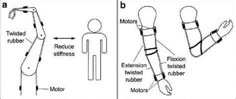 Tram Applications A In Humanrobot Interaction The Joint Stiffness Download Scientific