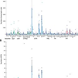 Image Sexual Dimorphism In Synaptic Inputs To The Mouse Amygdala And Orbital Cortex JPEG