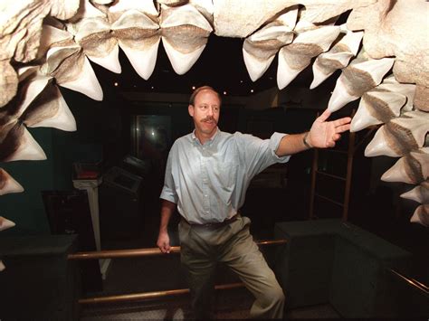 Was Megalodon Slimmer Than Previously Thought Smithsonian