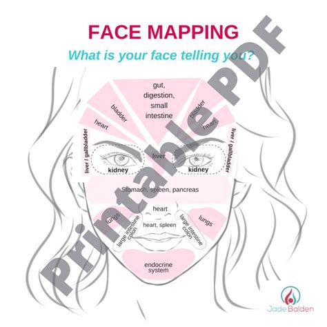 Face Mapping Chart PDF Printable Etsy