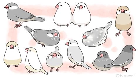 Bird Pop Art Sweetie Pie