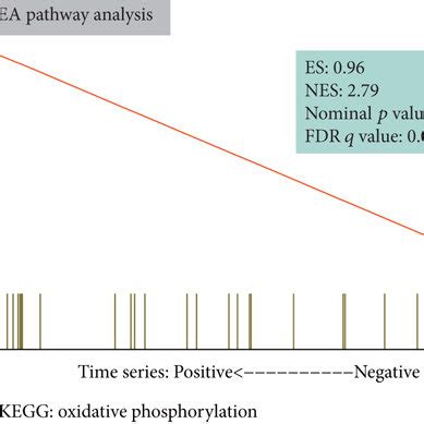 ScRNA Seq Clustering By The Seurat Package And Functional Enrichment Download Scientific