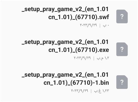 Setup Exe Problem Rjoiplay