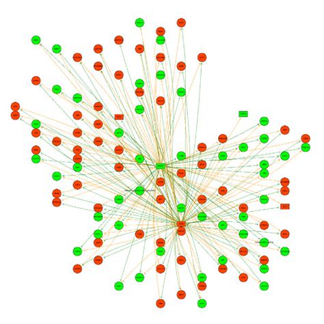 Transcription Factor Network Deciphered From Genes Differentially