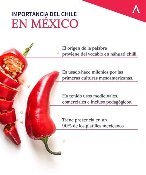 Chiles Secos 🌶️ Descubre Su Origen Historia Y Sabores Únicos Museo