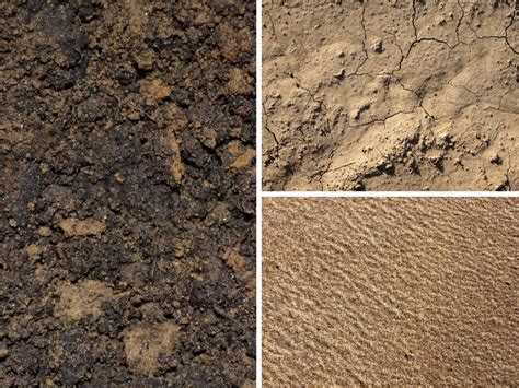 Different Ways To Classify Soil Types Order Texture Color And Regions
