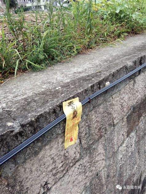 求婚符怎样画才好 求婚简笔画 第5页 大山谷图库