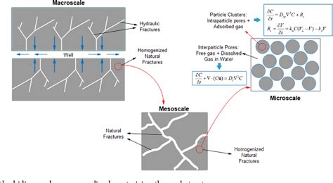 Figure 1 From Multiscale Lattice Boltzmann Simulation Of The Kinetics