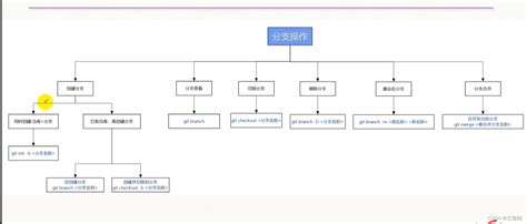 Git的常用命令 及还原文件的指定版本，及分支管理