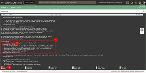 use cilium to provide networking services in oracle cloud