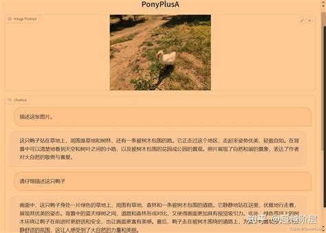 多模态图文理解大模型 知乎
