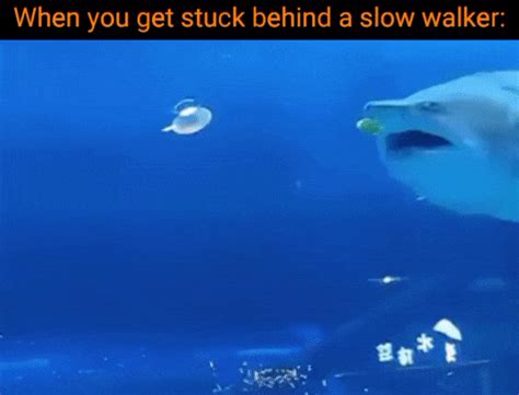 Try Not To Eat Challenge R Memes