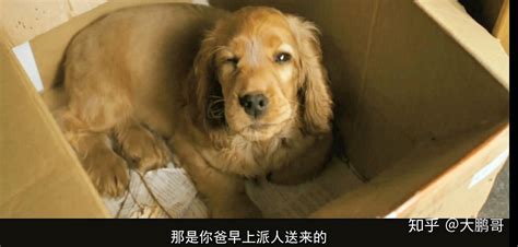 狗十三我们终于变成了曾经我们最讨厌的人 知乎