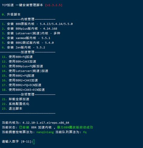 Linux服务器一键安装tcp加速 提高服务器的流畅度 老蒋部落