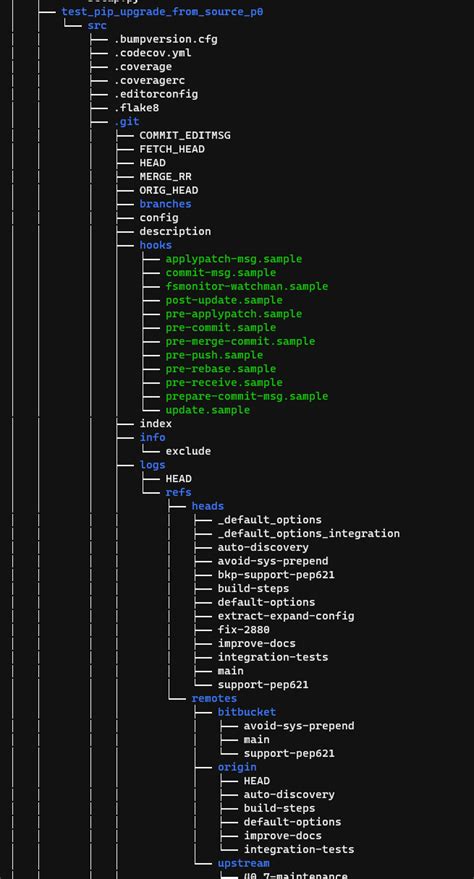 [ci] `tmp src` fixture seems to be copying everything including ` git` · issue 2921 · pypa