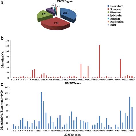 Overview Of Mutation Type And Exon Distribution Of Published Kmt2d