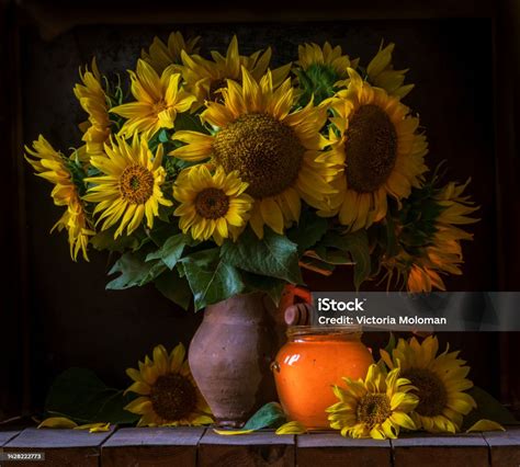 아름다운 노란색 해바라기 정물 꽃다발에 점토 주전자 세라믹 소박한 스타일의 오일 꿀 어두운 사진 배경 나무 테이블 빈티지 복고풍 낮은 키 가을 꽃 0명에 대한 스톡 사진 및