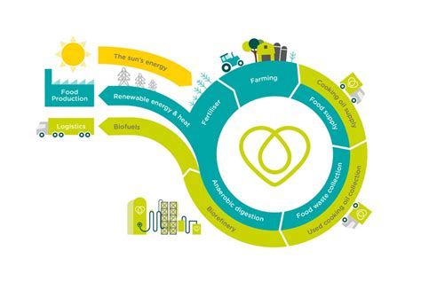 Embracing The Circular Economy A Path To Sustainability And Efficiency