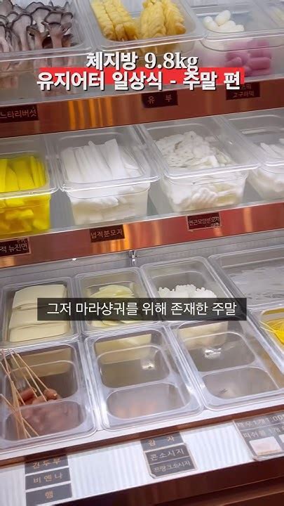 유지어터 유지어터일상 일상 브이로그 식단 직장인 직장인브이로그 먹방 먹방브이로그 식단 식단공유 Youtube