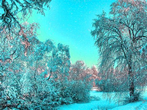 Зима Природа анимация