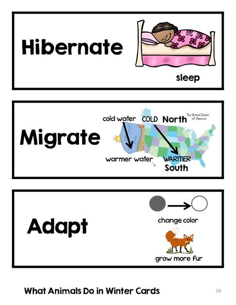 Hibernate Migrate Adapt Worksheets