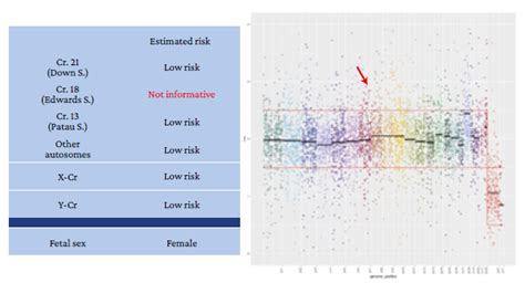 Patient 14 Noninvasive Prenatal Test Result Male Fetal Sex