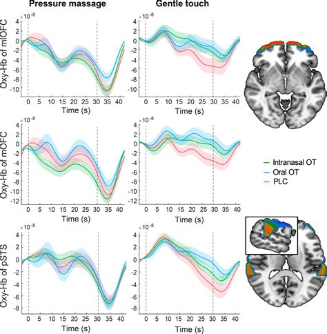 Figures And Data In Oxytocin Administration Enhances Pleasantness And Neural Responses To Gentle