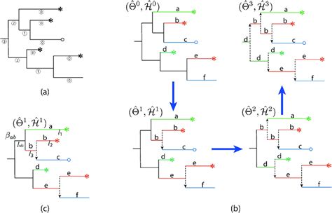 Schematic Representation Of The Coordinate Ascent Algorithm A The Download Scientific