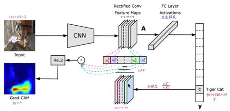 可解释机器学习：grad Cam 知乎