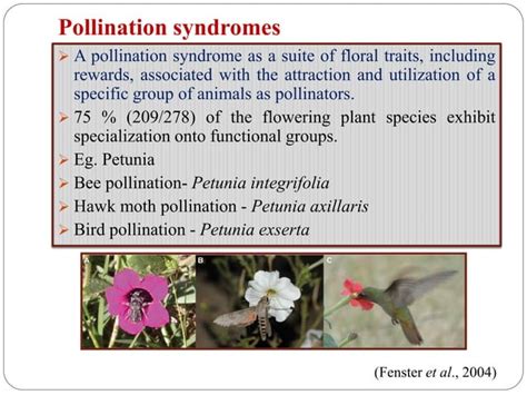 Coevolution Of Plant And Insects Pdf Beekeeping Hobbies And Interests