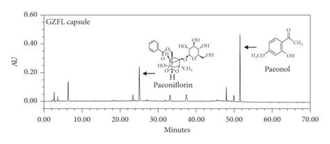 HPLC Profiling Of The Methanolic Extracts Of Plant Materials Grounded Download Scientific