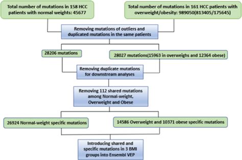 Flow Diagram For Steps Taken To Identify Common And Specific Mutational
