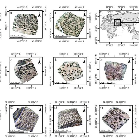 An Example Of Tree Crown Delineation With The Proposed Algorithm