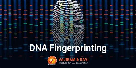 Dna Fingerprinting Applications Steps And Limitations